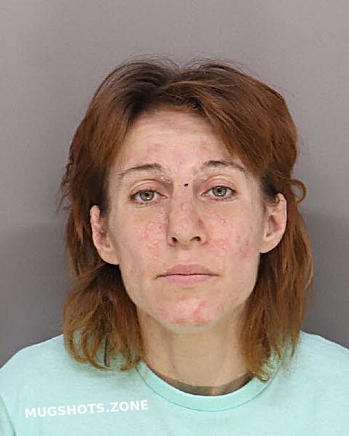 LANSAW CHELSEA 02/23/2025 - Hamilton County Mugshots Zone