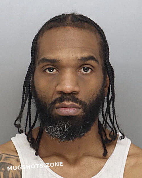 WHITEHEAD ROBERT 02/25/2025 - Hamilton County Mugshots Zone
