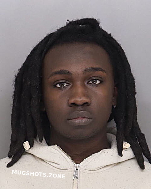 STYLES ROGER 02/25/2025 - Hamilton County Mugshots Zone