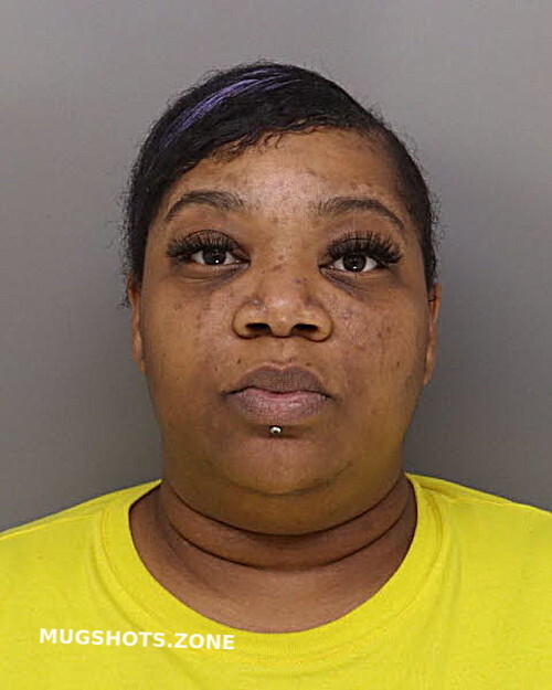 GRAY TIERRA 02/26/2025 - Hamilton County Mugshots Zone