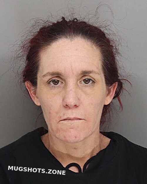 BRANHAM MICHELLE 02/26/2025 - Hamilton County Mugshots Zone