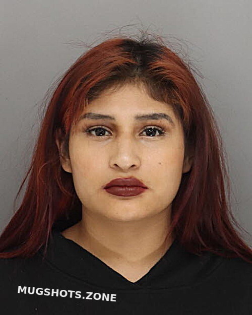 HANKS ALEJANDRA 02/26/2025 - Hamilton County Mugshots Zone