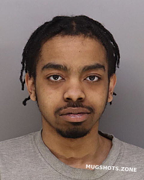 REESE SWAIN 03/01/2025 - Hamilton County Mugshots Zone