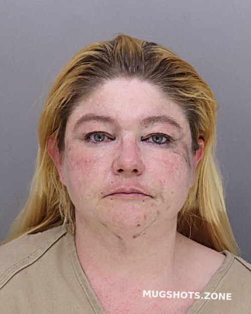 ROUTT ROBIN 03/04/2025 - Hamilton County Mugshots Zone