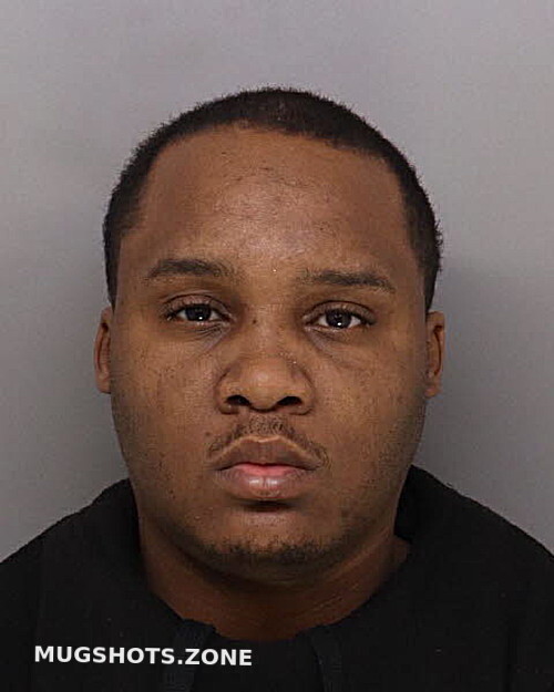 ALLEN RAPHAEL 03/10/2025 - Hamilton County Mugshots Zone