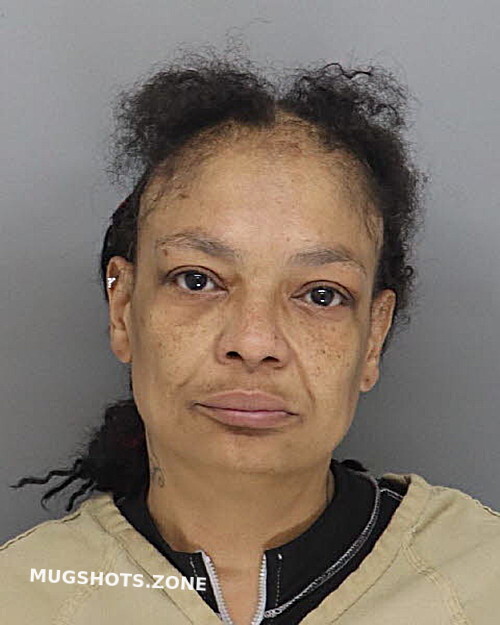 NELSON TIFFANY 03/12/2025 - Hamilton County Mugshots Zone