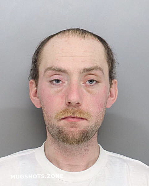RONAN MIKE 03/14/2025 - Hamilton County Mugshots Zone