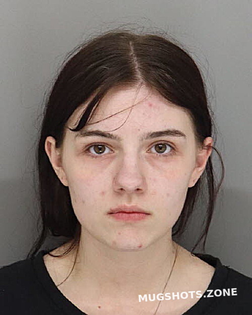 CRIBBET HAILEY 03/18/2025 - Hamilton County Mugshots Zone