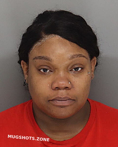 JENKINS CHRISTINA 03/18/2025 - Hamilton County Mugshots Zone