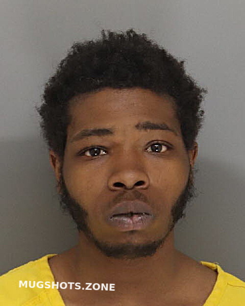 Amison Saviour 03 19 2025 Hamilton County Mugshots Zone