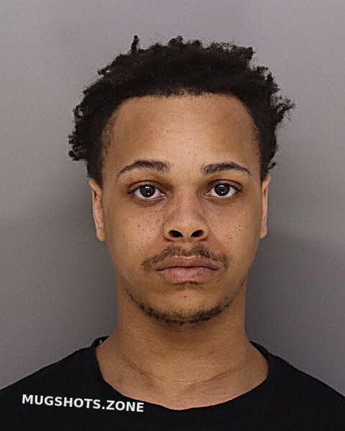 STEED DEVONTE 03/24/2025 - Hamilton County Mugshots Zone