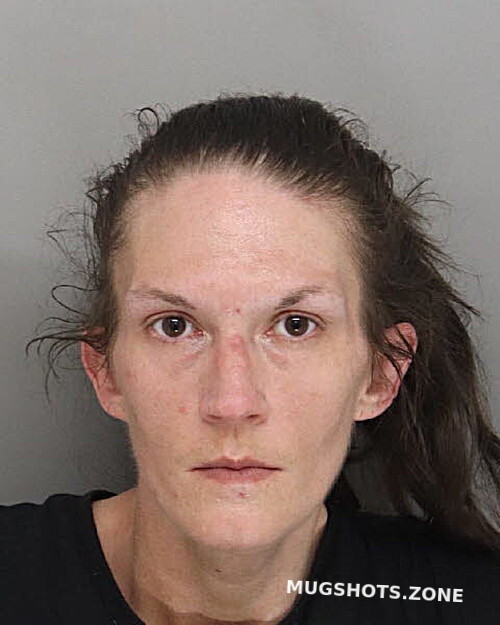 TACKETT BRANDY 03/24/2025 - Hamilton County Mugshots Zone