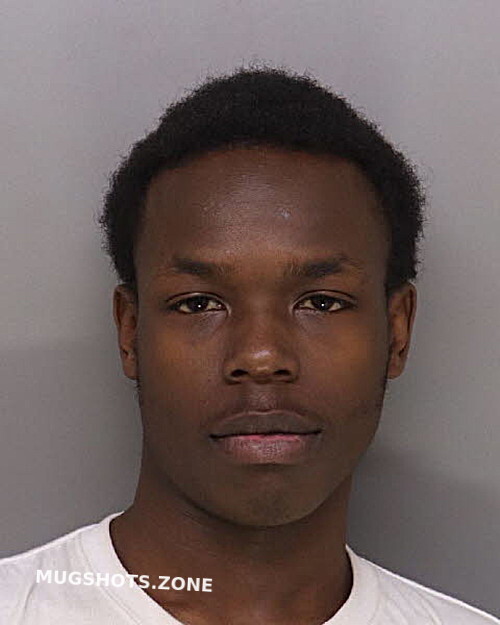 BOOKER HAVIER 03/24/2025 - Hamilton County Mugshots Zone