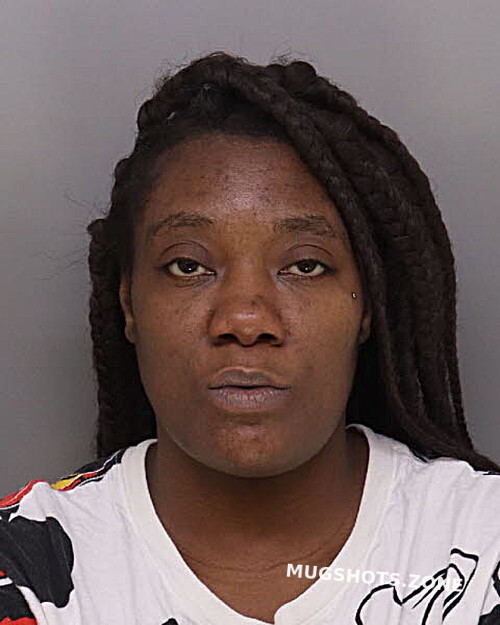 KELLY SIDNEY 03/25/2025 - Hamilton County Mugshots Zone