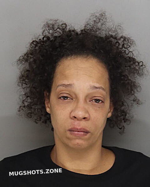 CAMP SONYA 03/29/2025 - Hamilton County Mugshots Zone