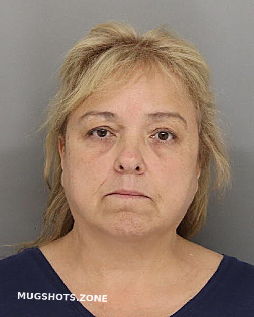 CANNON LISA 04/01/2025 - Hamilton County Mugshots Zone