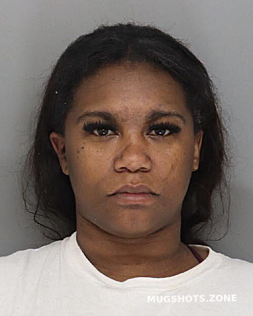 SHEPHERD KRISTEN 04/01/2025 - Hamilton County Mugshots Zone