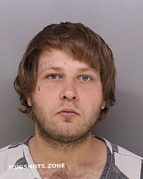 POE NICHOLAS 04/01/2025 - Hamilton County Mugshots Zone