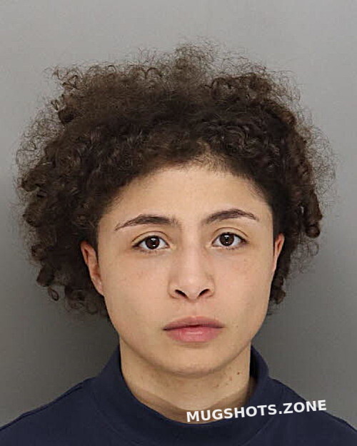 ROBERTS JAYDA 04/02/2025 - Hamilton County Mugshots Zone