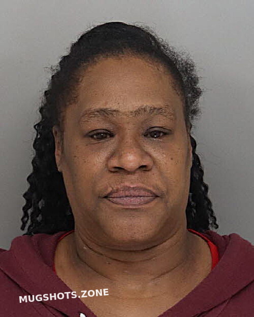 WALKER SULIN 04/02/2025 - Hamilton County Mugshots Zone