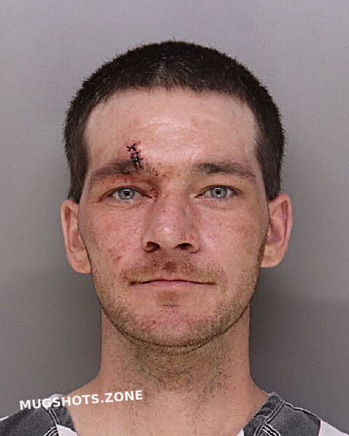 LEWIS EDWIN 04/03/2025 - Hamilton County Mugshots Zone