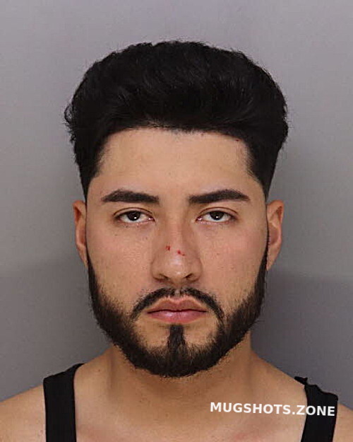 PENA DANIEL 04/06/2025 - Hamilton County Mugshots Zone