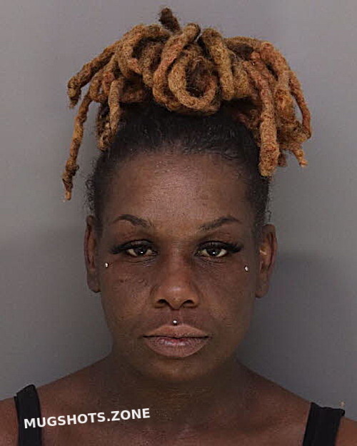 HARDIN TAMIKA 04/09/2025 - Hamilton County Mugshots Zone