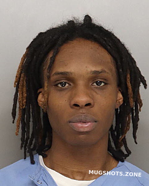 VENTUS DERRICK 04/09/2025 - Hamilton County Mugshots Zone