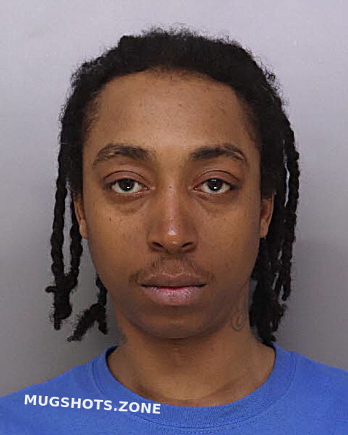 THOMAS DOMINIC 04/13/2025 - Hamilton County Mugshots Zone