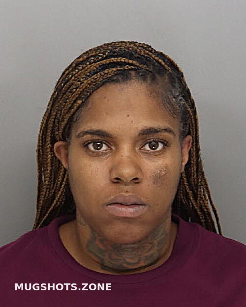 RUFF DANIELLE 04/14/2025 - Hamilton County Mugshots Zone