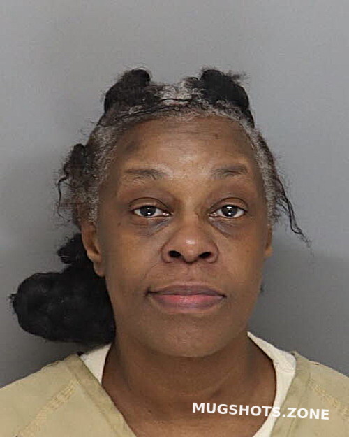 JONES MICHELLE 04/15/2025 - Hamilton County Mugshots Zone