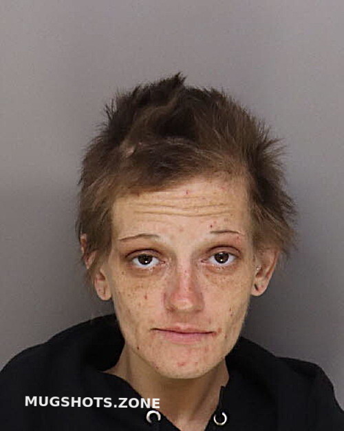 MASENGALE MEGAN 04/15/2025 - Hamilton County Mugshots Zone