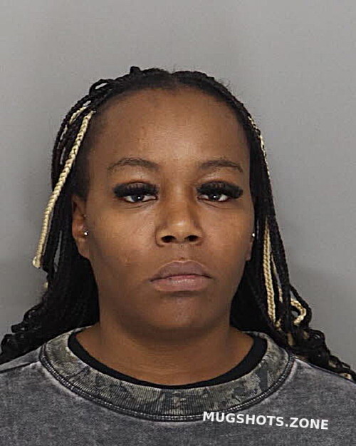 CUSTARD DANIELLE 04/15/2025 - Hamilton County Mugshots Zone