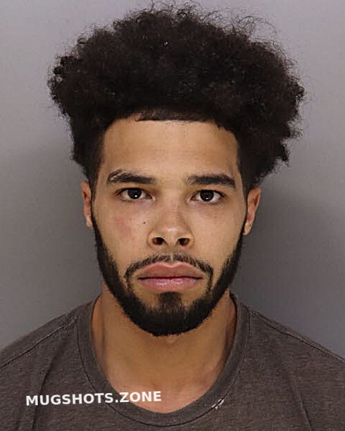 RONE REGGIE 04/16/2025 - Hamilton County Mugshots Zone