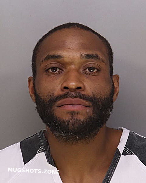 REEVES ROBERT 04/16/2025 - Hamilton County Mugshots Zone