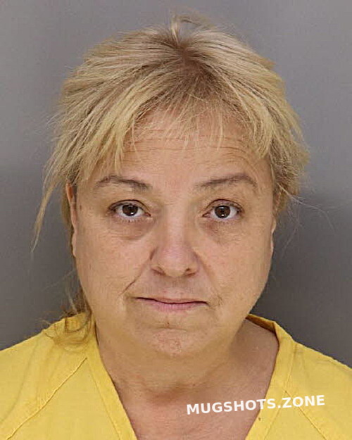 CANNON LISA 04/16/2025 - Hamilton County Mugshots Zone