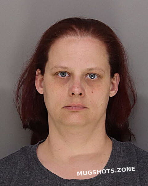 HENSLEY SANDI 04/17/2025 - Hamilton County Mugshots Zone