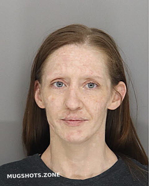 JOHNSON ANDREA 04/18/2025 - Hamilton County Mugshots Zone