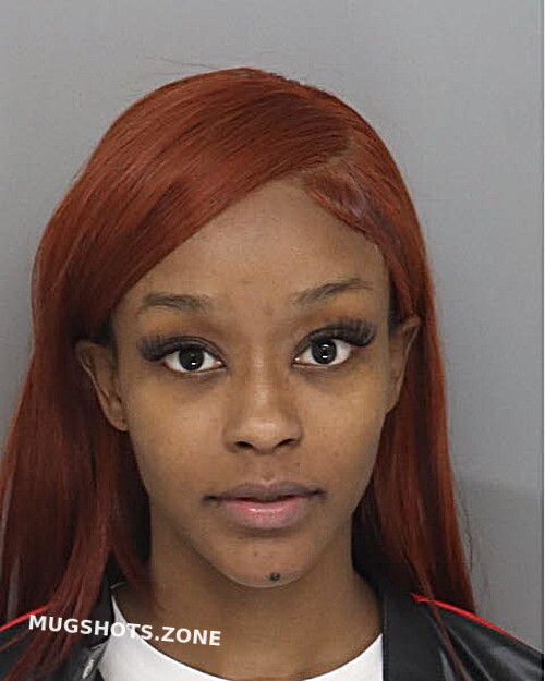 JONES RAYONNA 04/19/2025 - Hamilton County Mugshots Zone