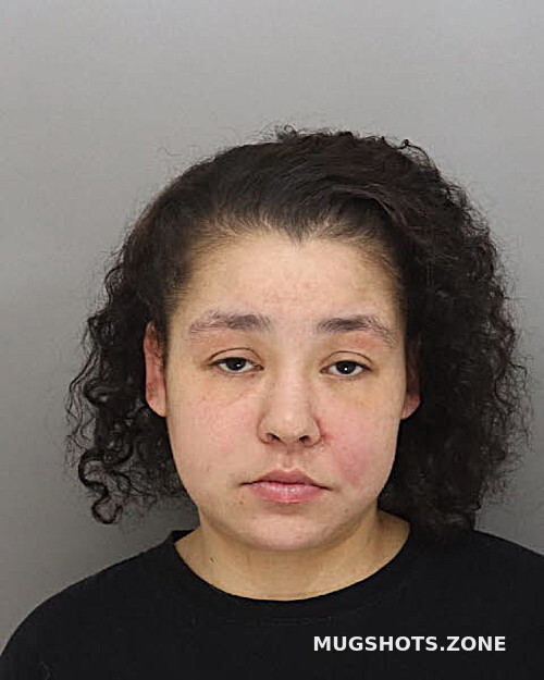 SMITH MARIAH 04/20/2025 - Hamilton County Mugshots Zone