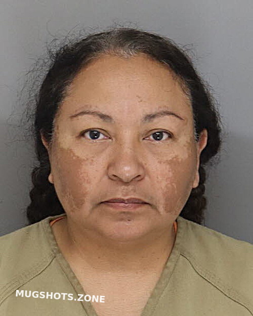 RUSH VIKKI 04/21/2025 - Hamilton County Mugshots Zone