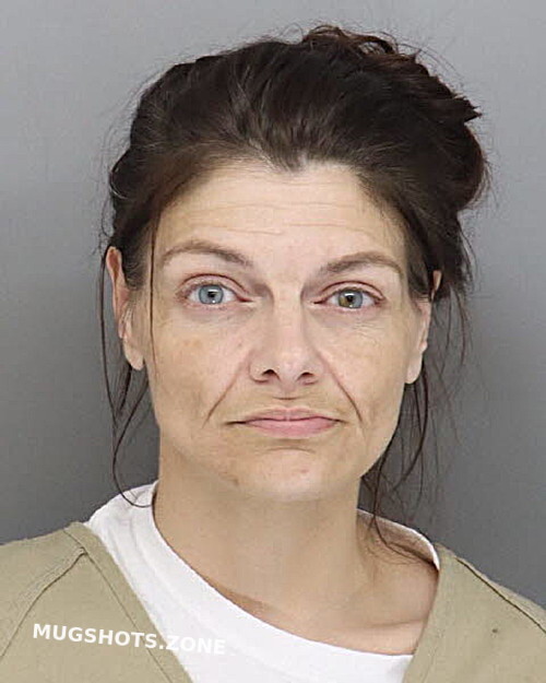 SLONE JAMIE 04/22/2025 - Hamilton County Mugshots Zone