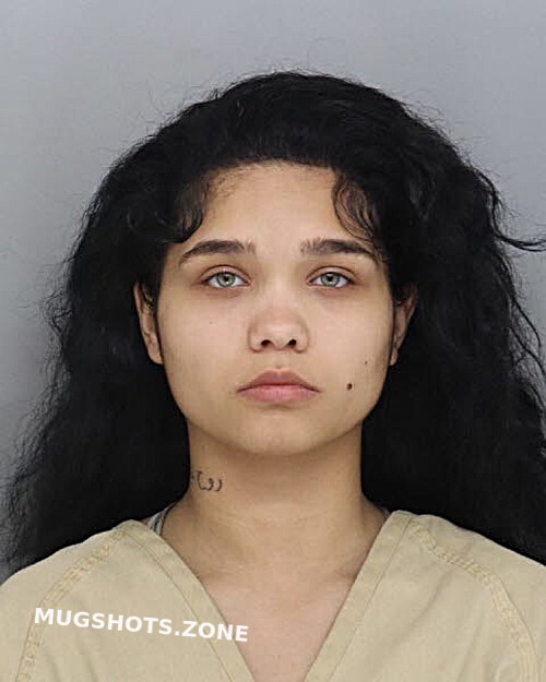 JOHNSON TRINITY 04/23/2025 - Hamilton County Mugshots Zone