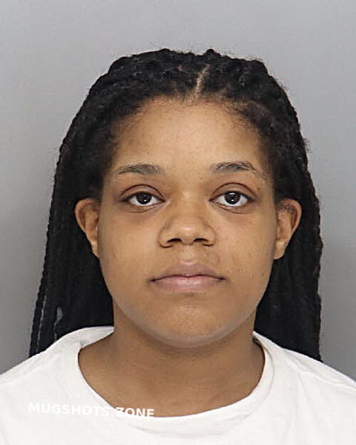 SCOTT NADIA 04/24/2025 - Hamilton County Mugshots Zone