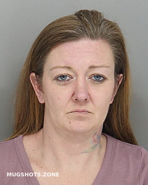 BROWN DANIELLE 04/28/2025 - Hamilton County Mugshots Zone