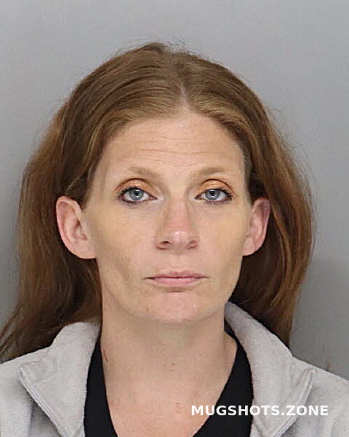 PRICE SHAWNA 04/29/2025 - Hamilton County Mugshots Zone