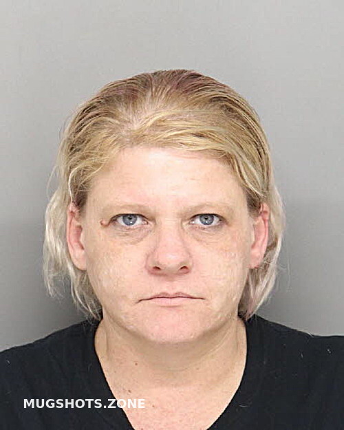 WOOD AMANDA 04/29/2025 - Hamilton County Mugshots Zone