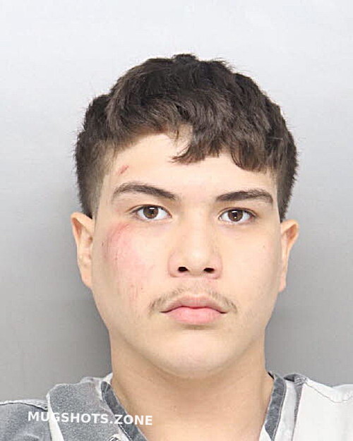 CANTON VICTOR 04/29/2025 - Hamilton County Mugshots Zone