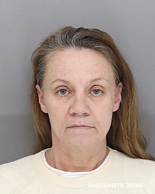 CHEEK TINA 05/01/2025 - Hamilton County Mugshots Zone