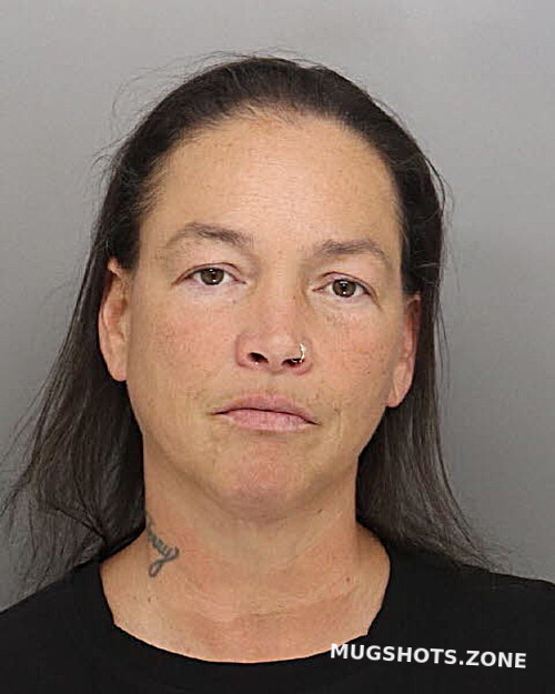 TERRY ROBIN 05/10/2025 - Hamilton County Mugshots Zone